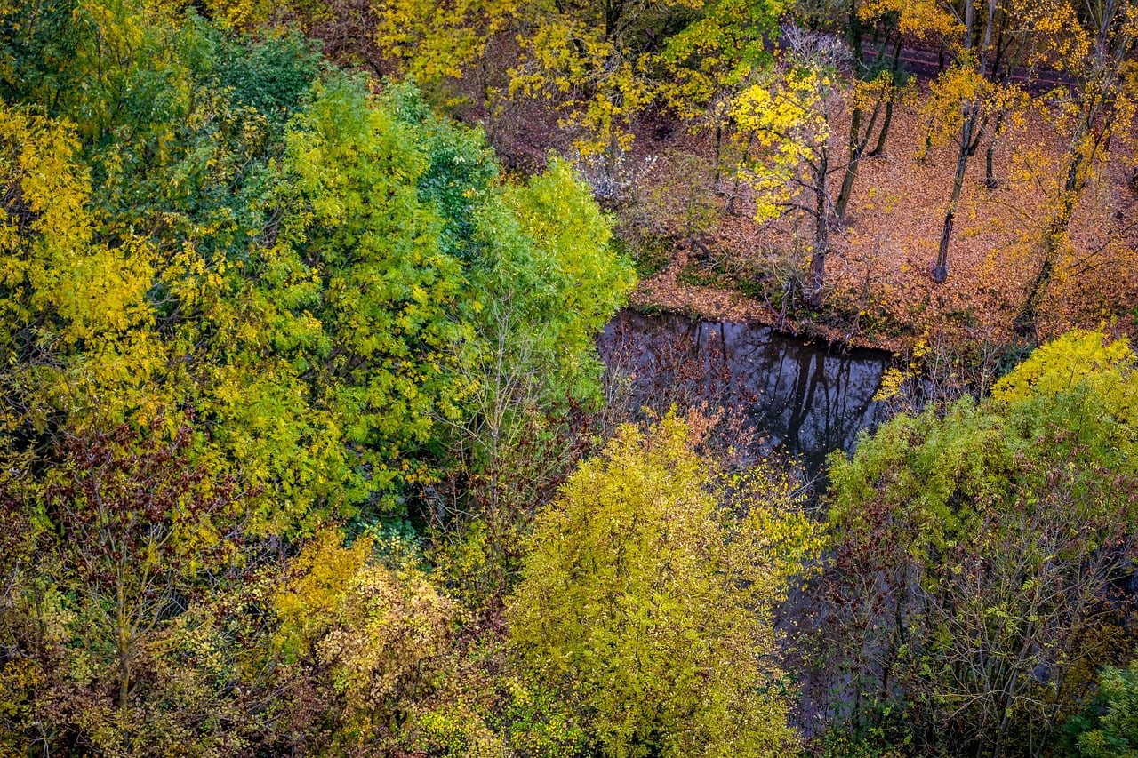 Descubre lo Mejor de Navarra: Qué Ver y Hacer - Descubre viajes